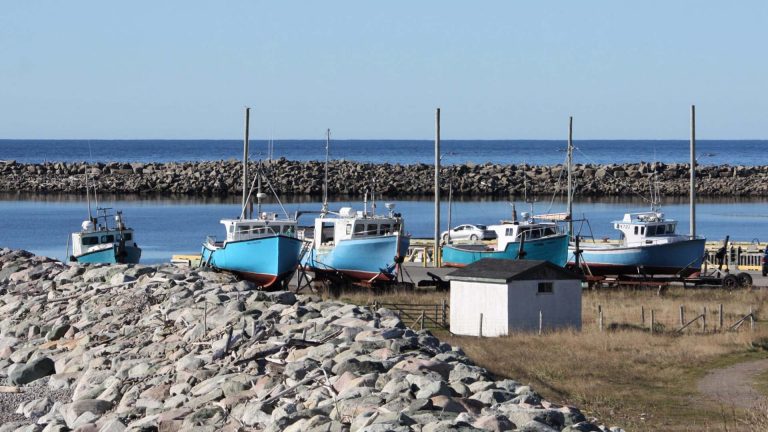 Codroy - Marine Group of Companies